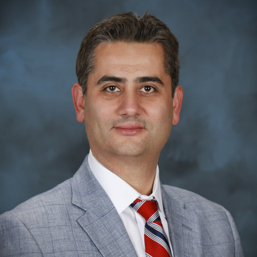 Dr. Soydan Ozcan named Group Leader for ORNL Sustainability & Circular ...